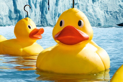 December 6th’s Duck of the Day – O2’s hook a duck | A Little Bit ...